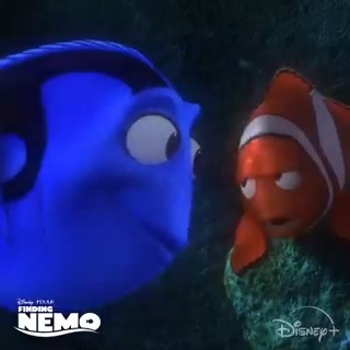 Mr Grumpy Gills Quote