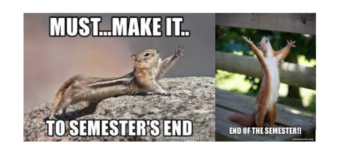 Finished Semester Memes