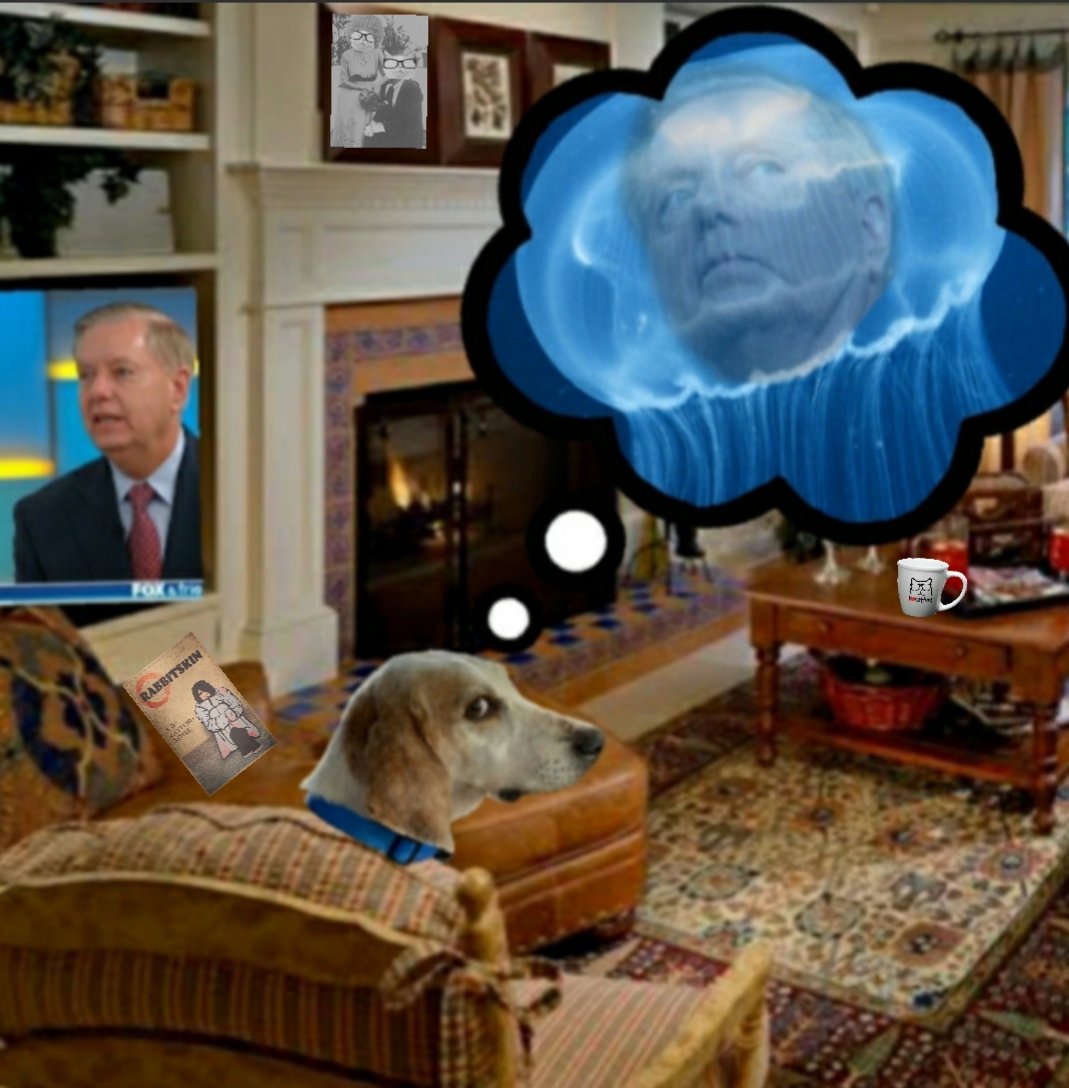 Catturd ™ @catturd2 Timeline, The Visualized Twitter (Analytics)