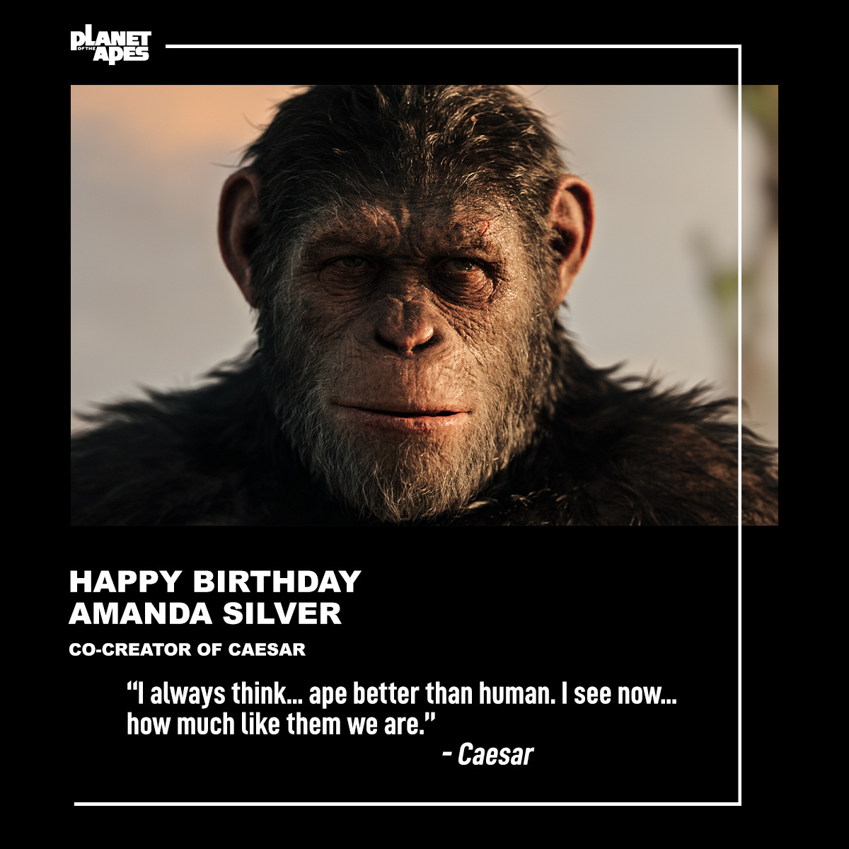 Amanda Birthday Meme