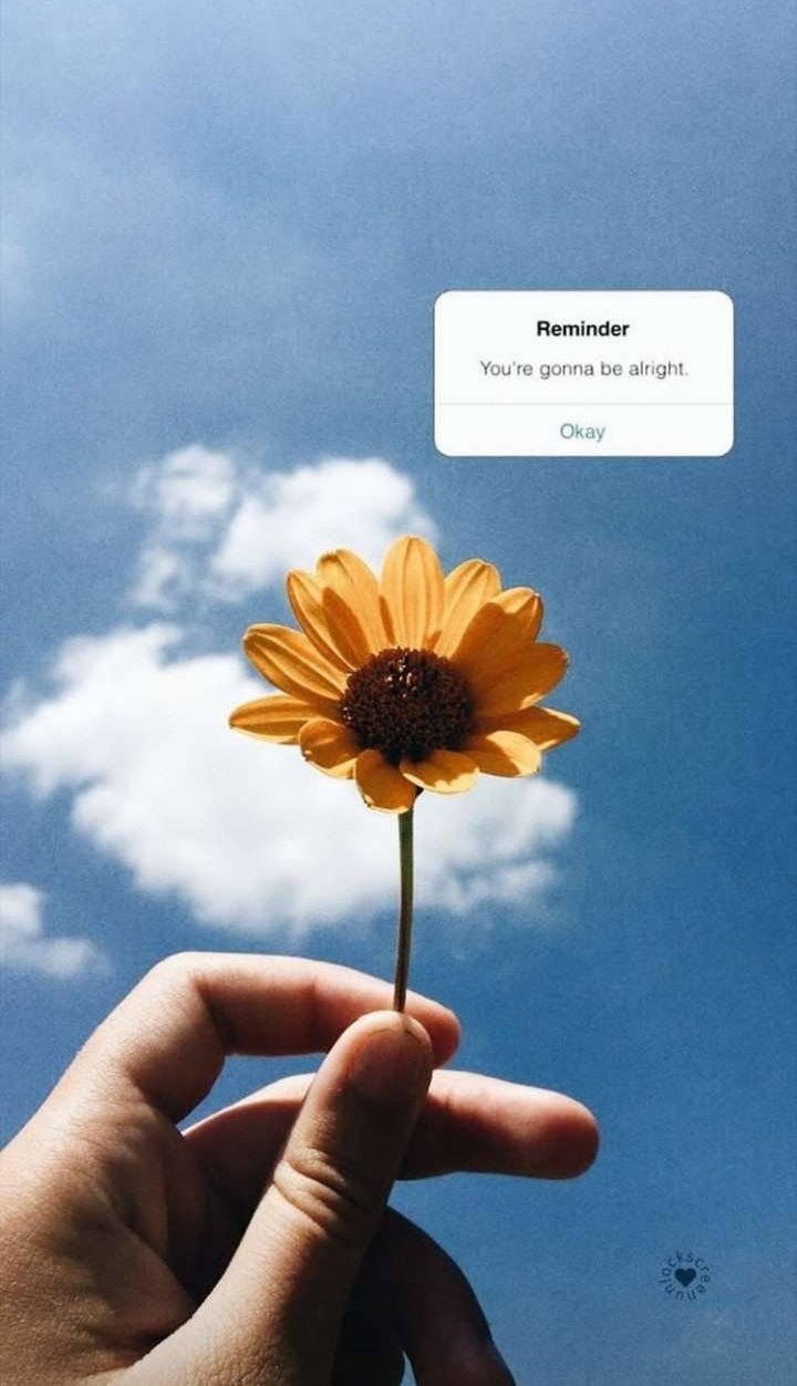 Everything Will Be Alright Wallpaper