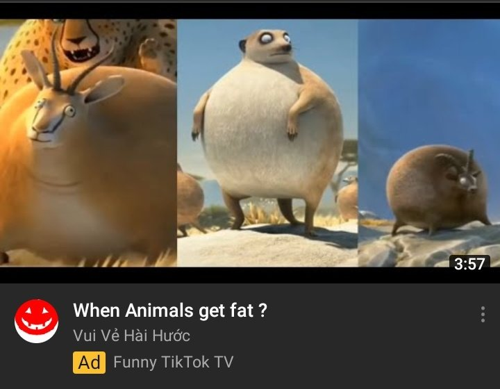 Fat Animal Meme