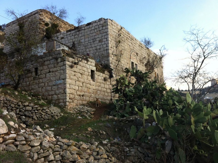 Alex Shams's Threads – Thread Reader App