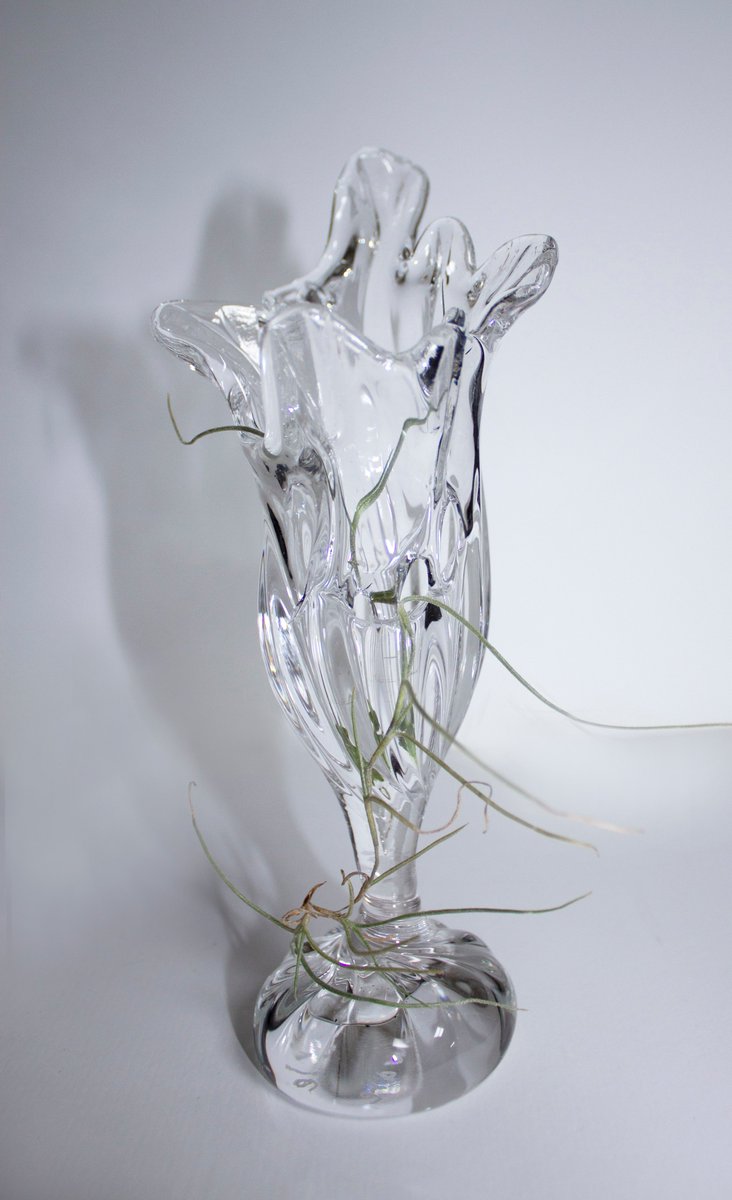 an abnormal cup Hayne Park @gloryholelight