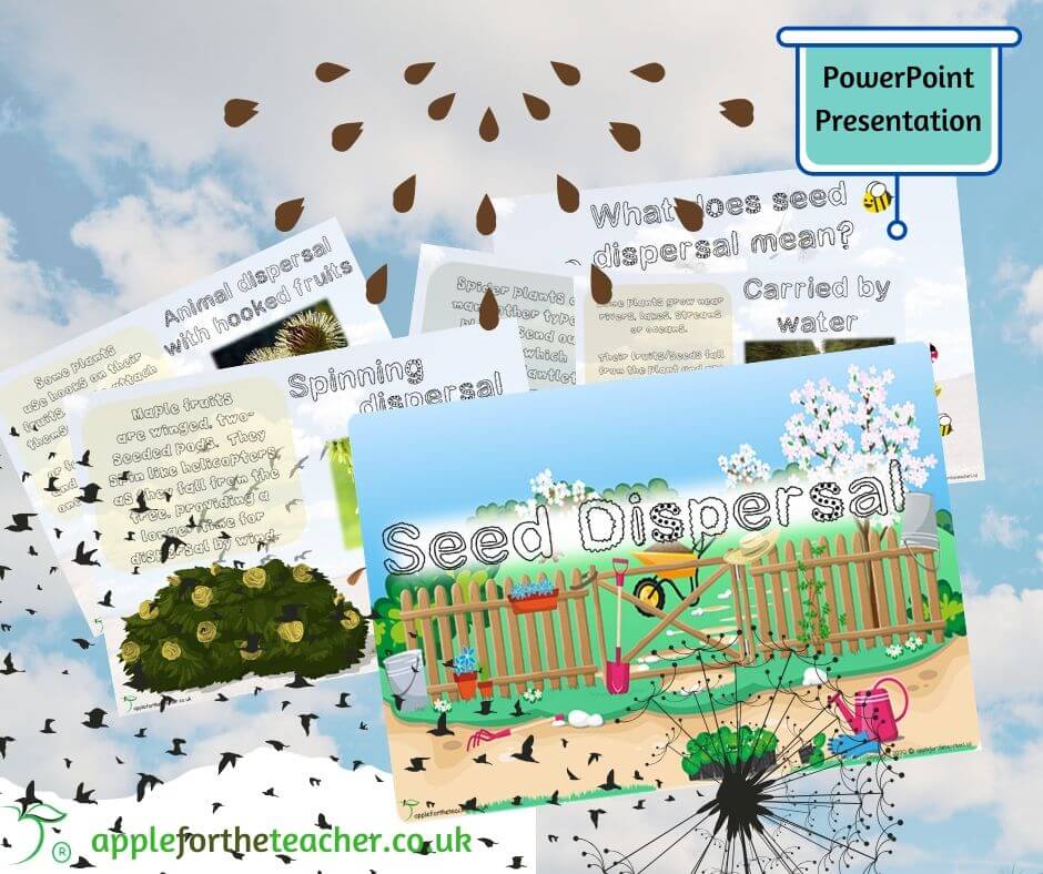 apple for the teacher ltd on Twitter: "If you are learning about plants ...