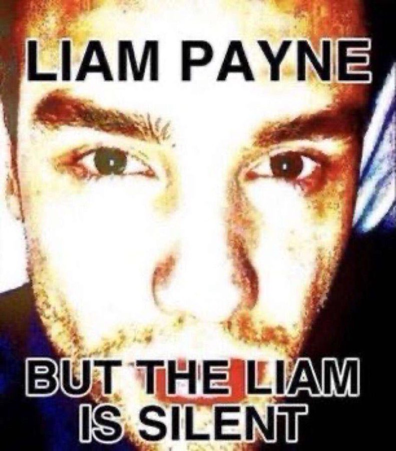 I need your help with memes : r/OneDirection