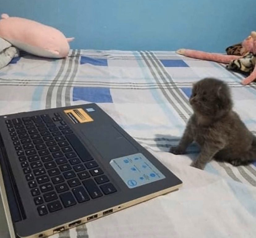 Look Away From Computer Meme