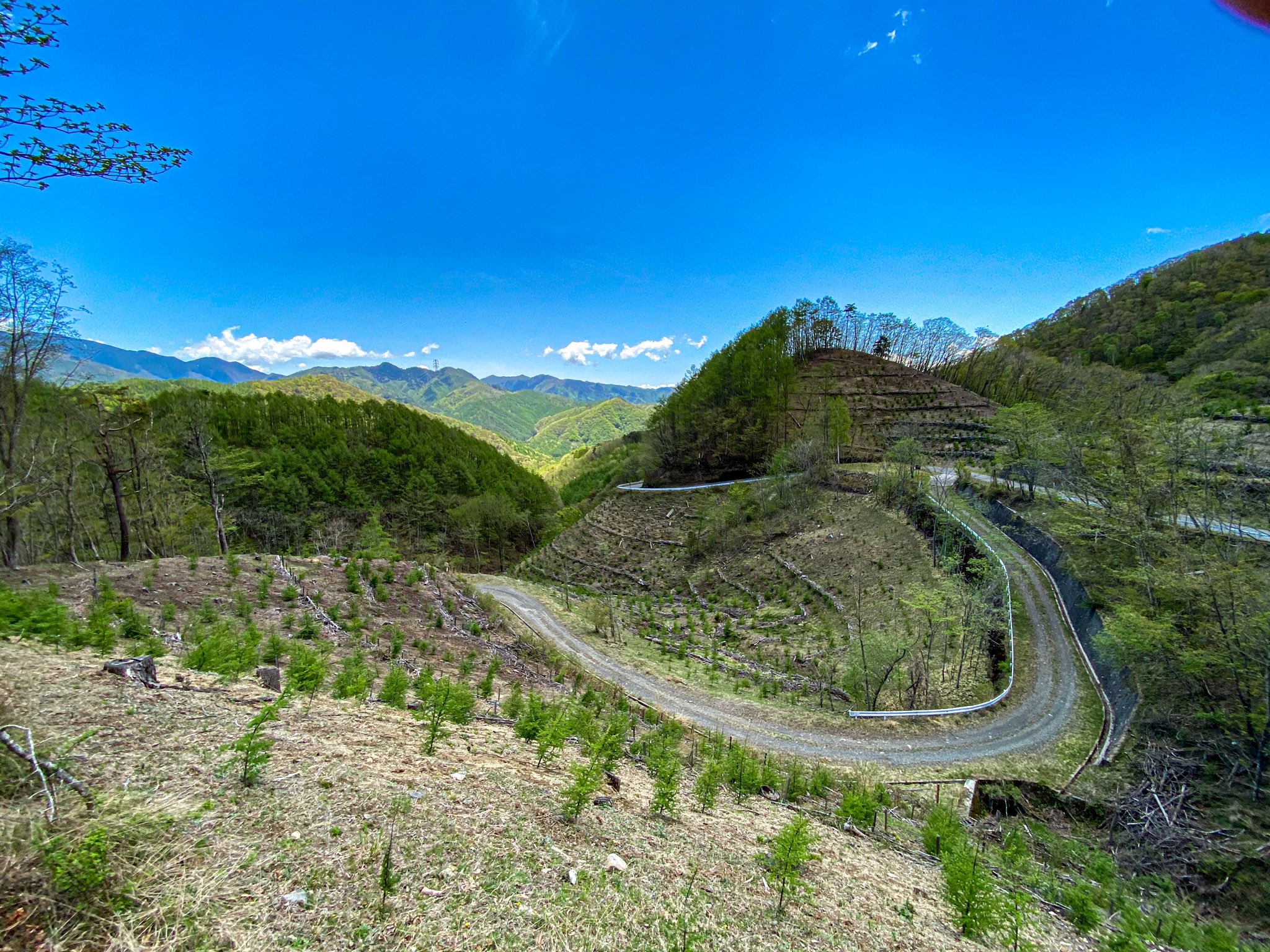 DAISUKE YANO on Twitter: "とっても落ち着いている #八ヶ岳ライフ #だから私はここに住んでいる…