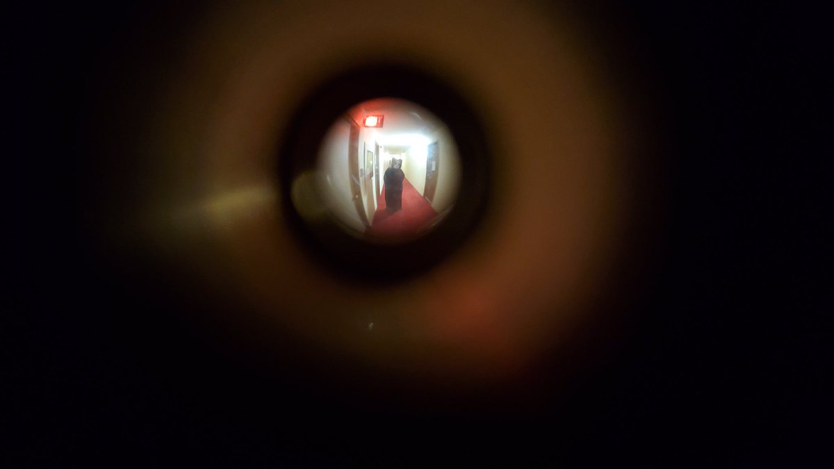 keyconofficial on Twitter: "#keycon, #VirtualKeycon, and #HallCostume…