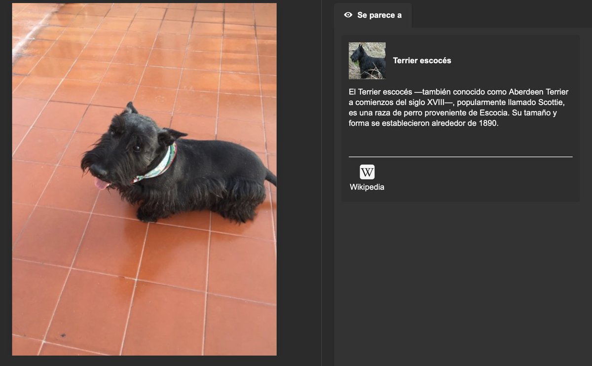 Sof (@Prieto_Soph) | Twitter