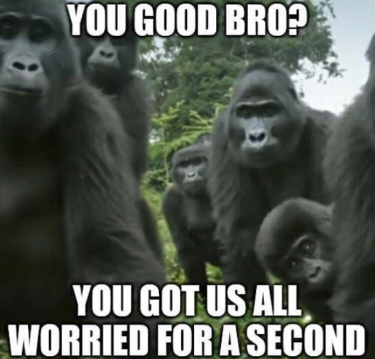 Are You Alright Meme