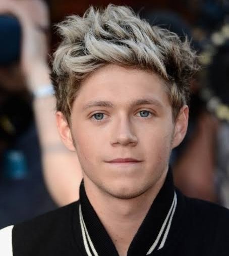 Niall Take Me Home Photoshoot