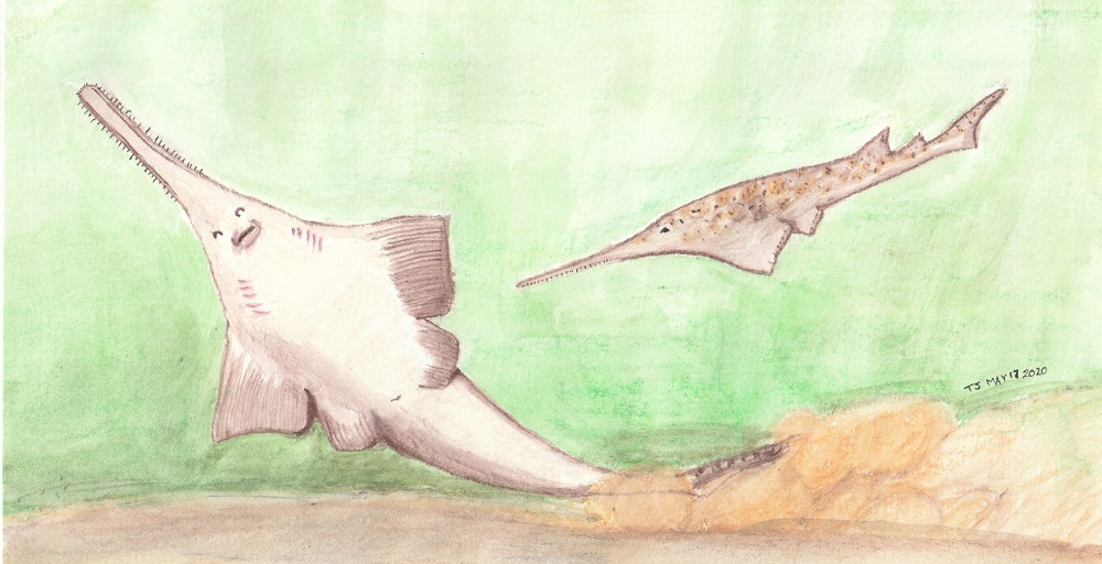 Tunes' wishlist - Page 3 - The ZT2 Round Table