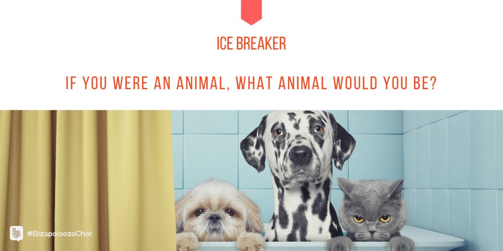 What Animal Are You Icebreaker Hotsell | emergencydentistry.com