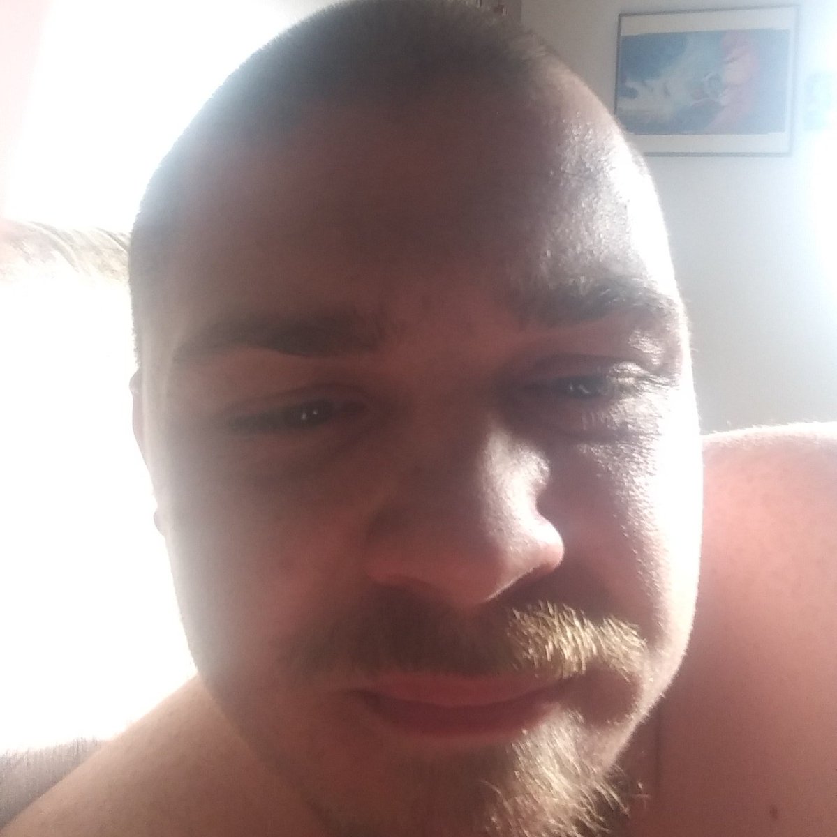 Brandon Mingo (@BrandonMingo3) | Twitter