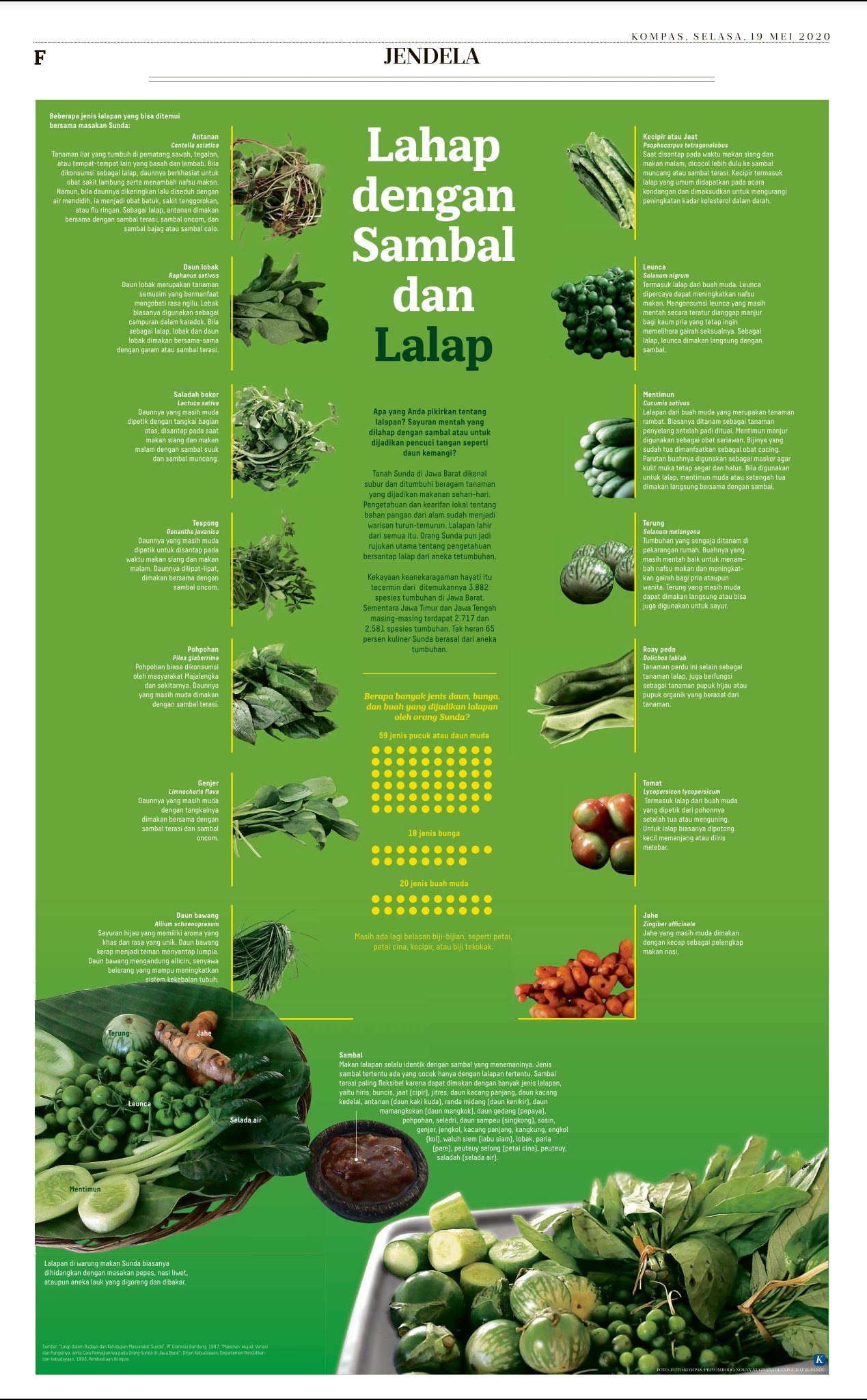 jenis sayuran lalap - Nicola Ball