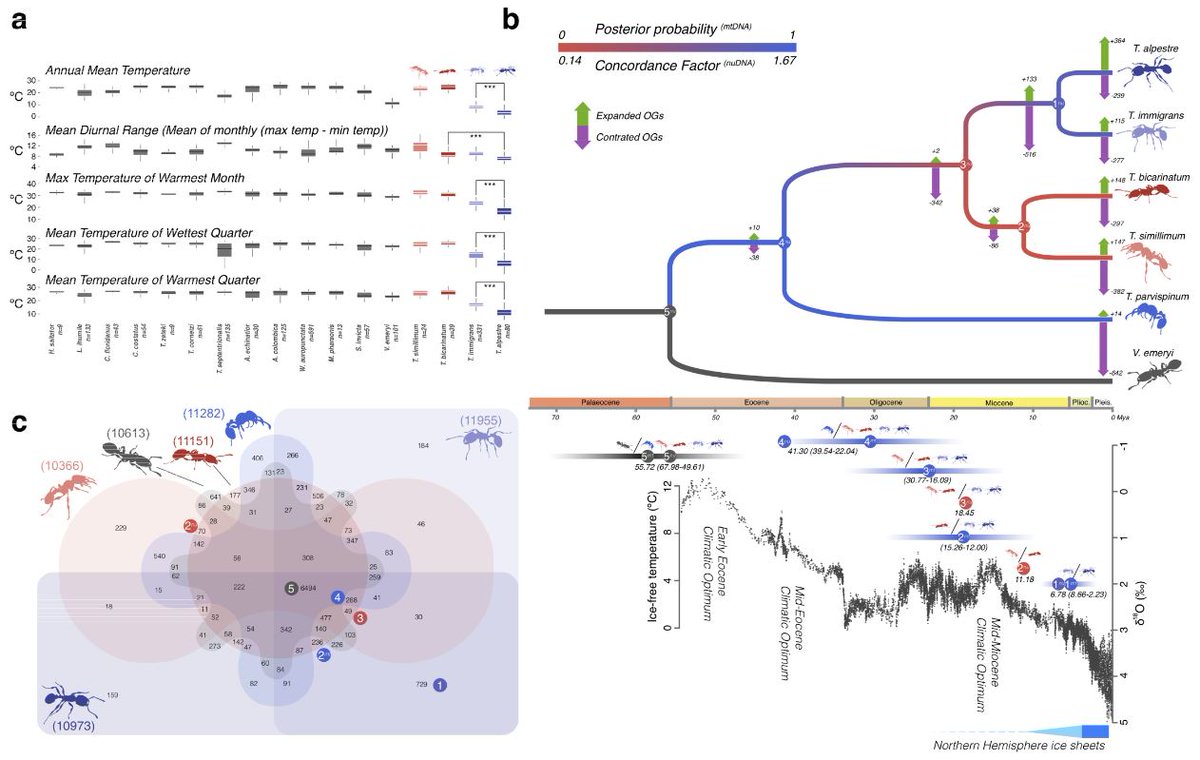 molecular-ecology.at – Headline