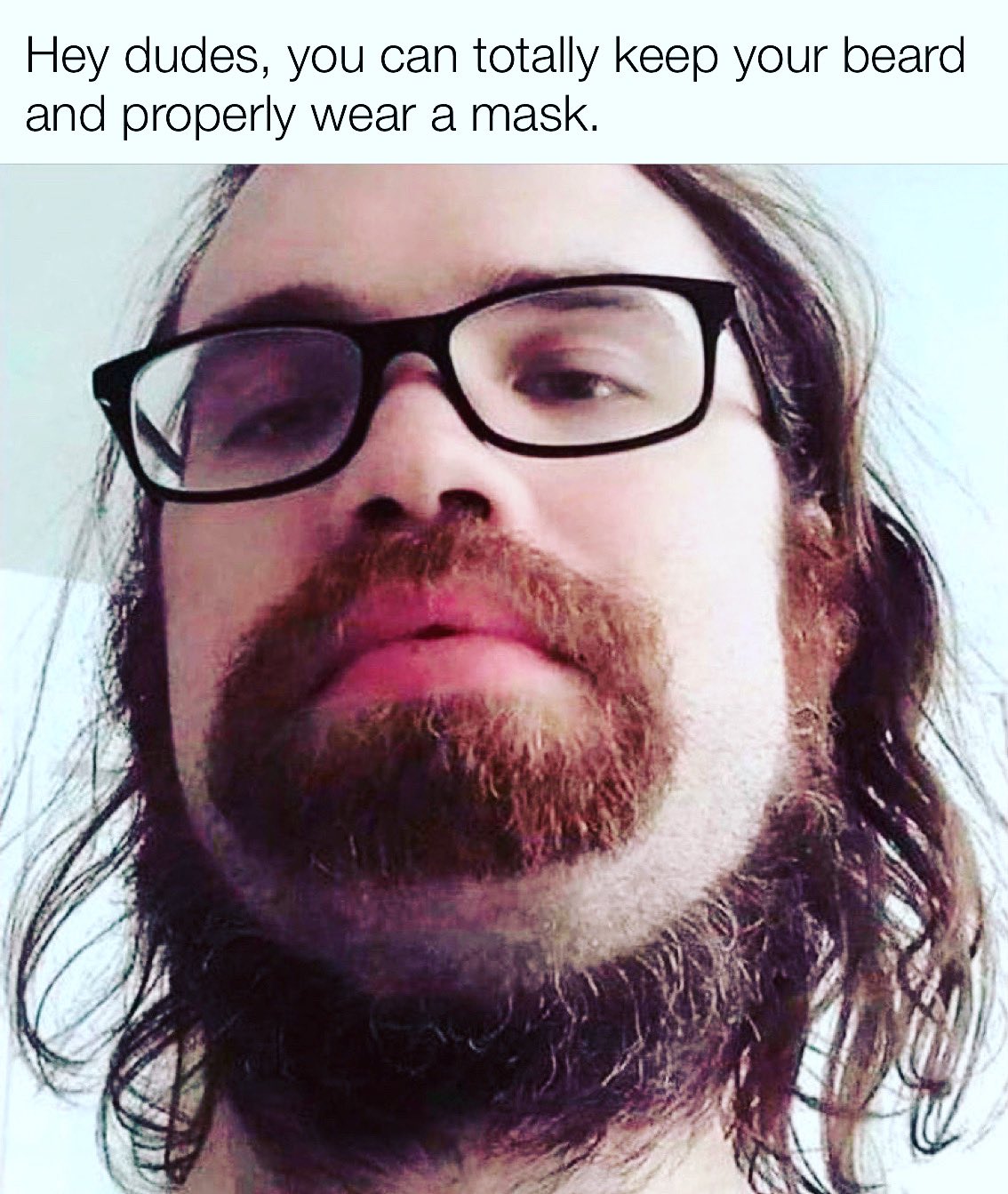 Funny Beard Memes