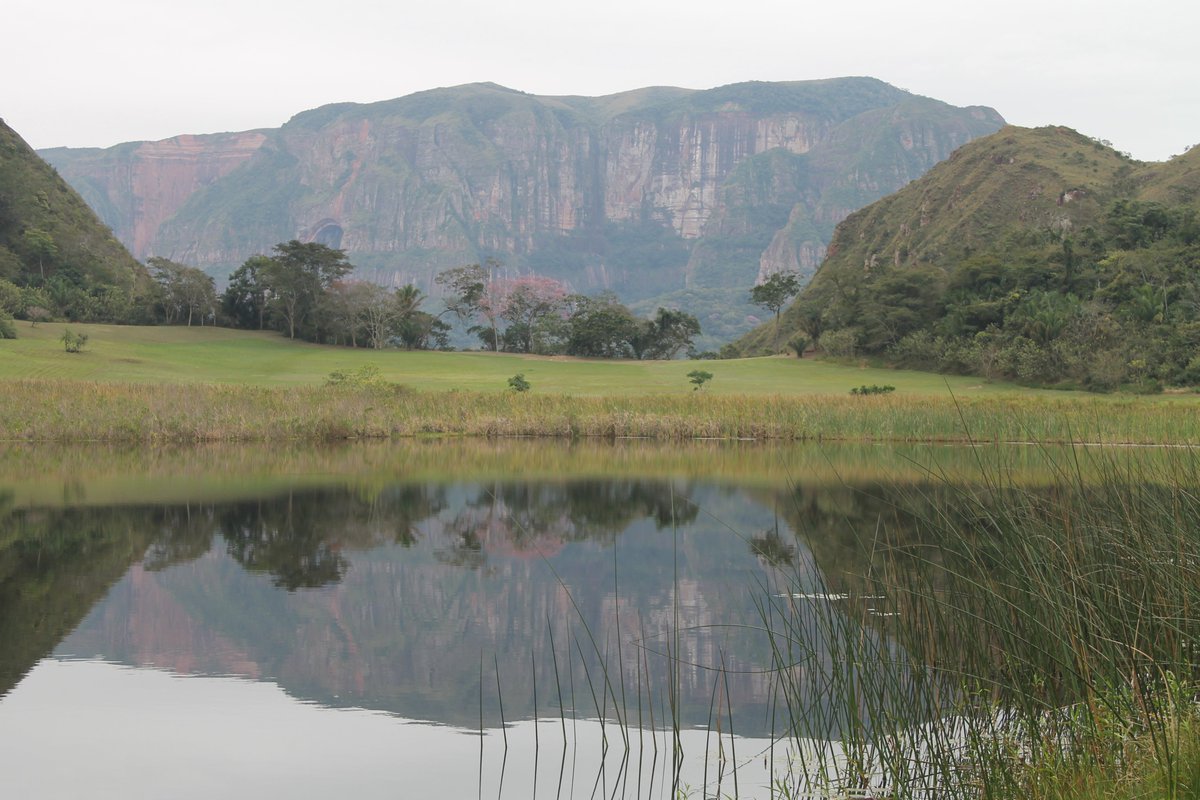 A Thread from @la_libelle: "Vine a alegrar su TL con imágenes de ...