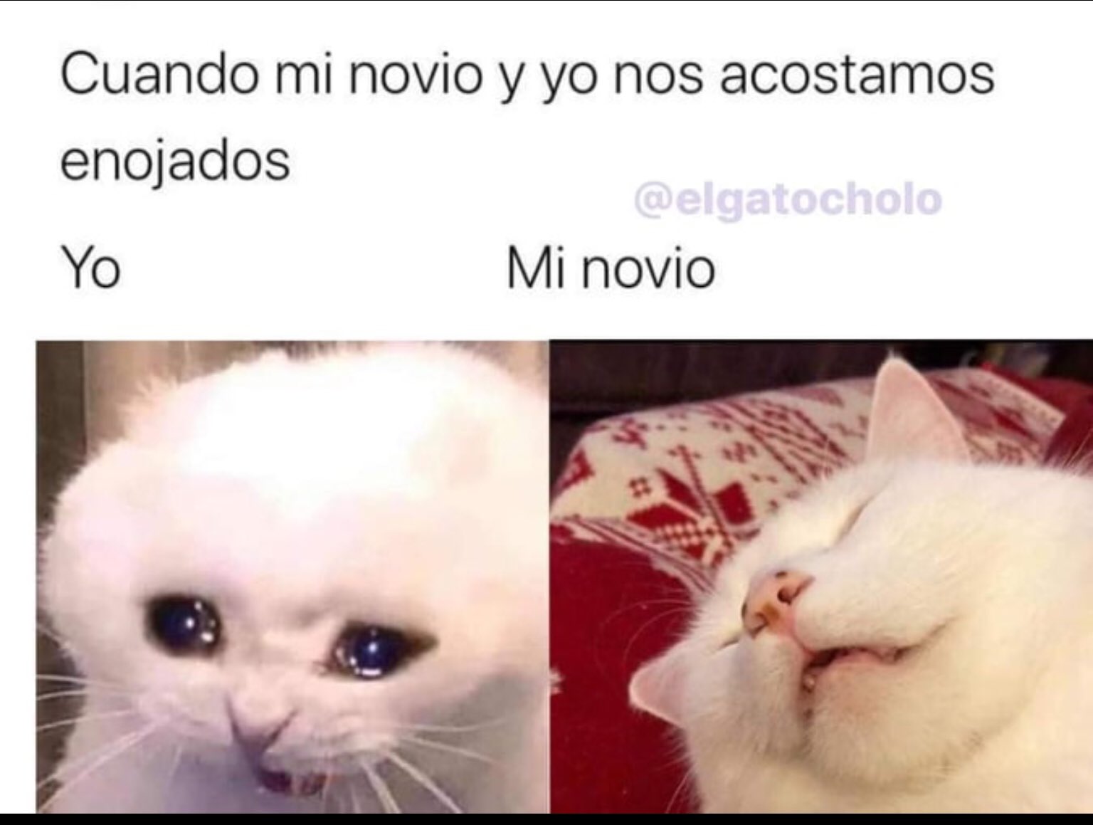 Memes Con Mi Novio