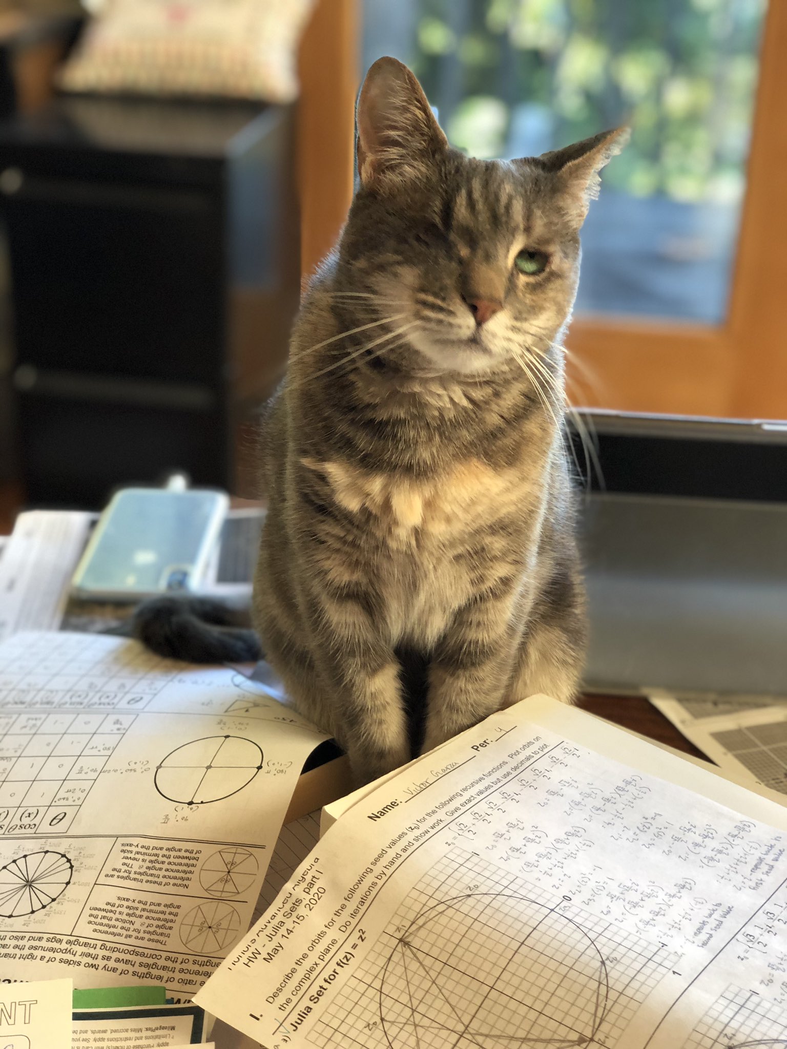 Math Kitty