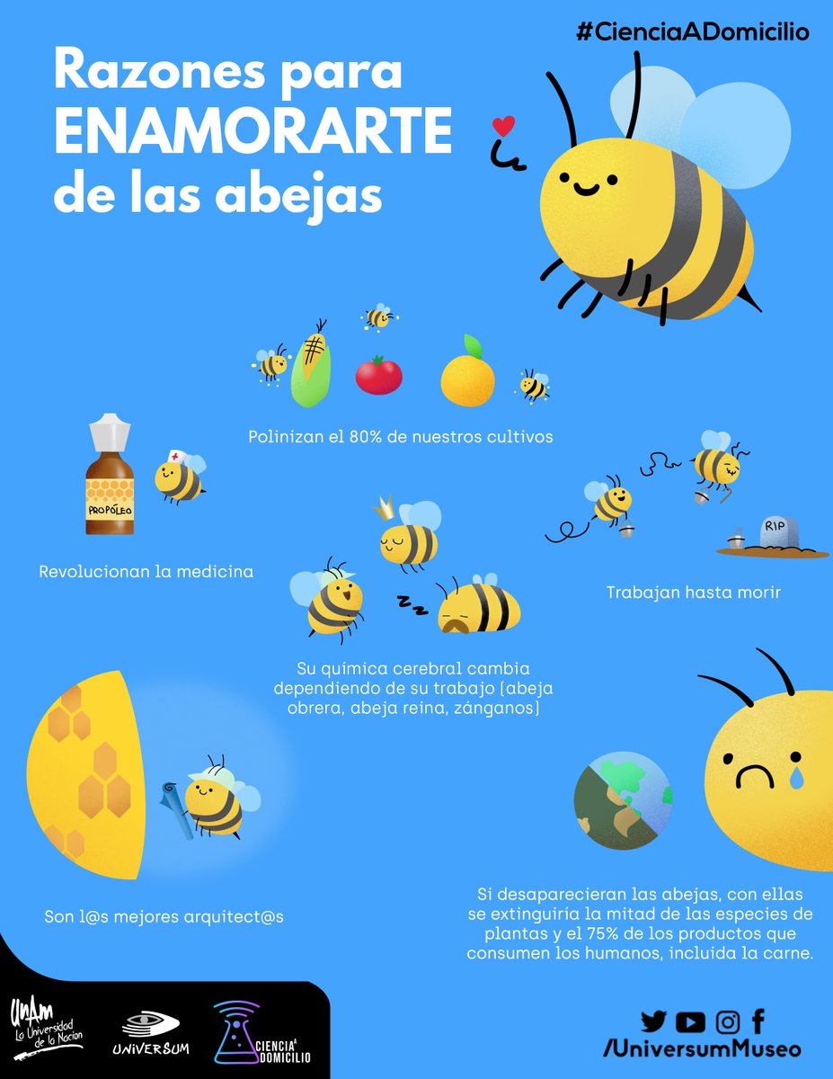 96 Bees Authentic Resources ideas | bee, animal life cycles, bee keeping