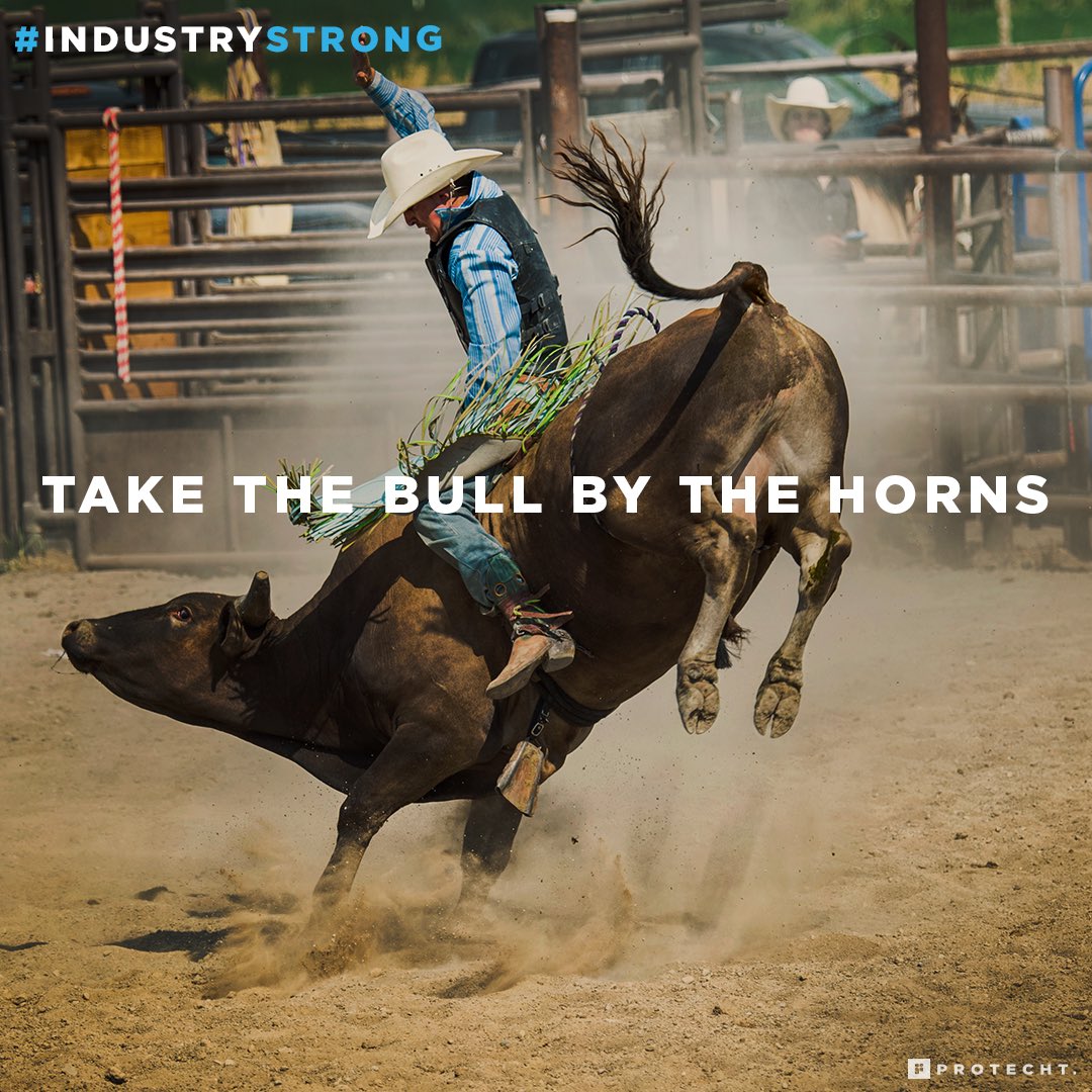 Bull Riding Sayings