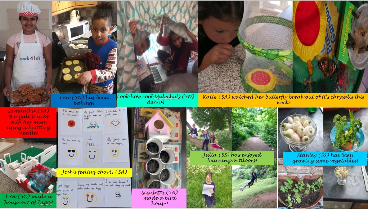 Nottingham Primary Academy on Twitter: "Year 5 have fully embraced ...