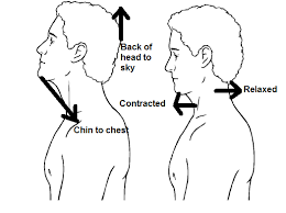 Thread by @SolBrah: NECK MOBILITY (THREAD) - Easy ones to commit to ...