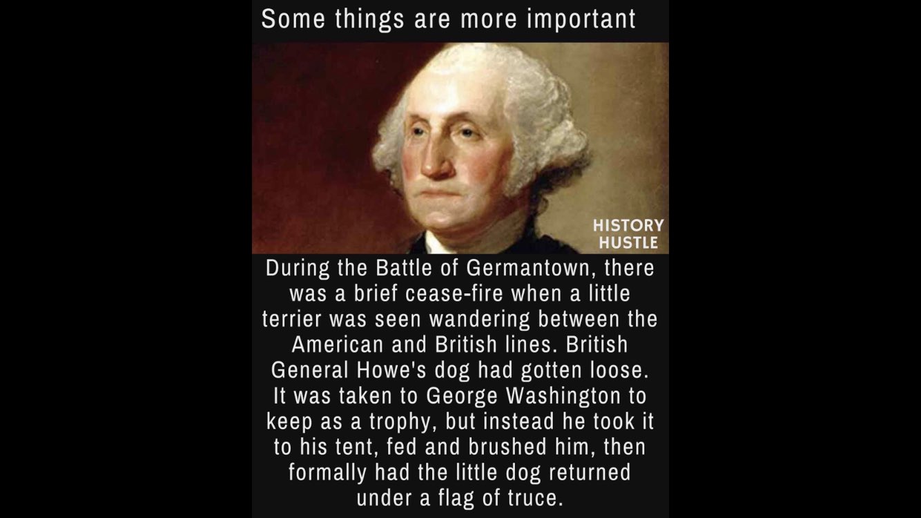 Did George Washington Love Dogs