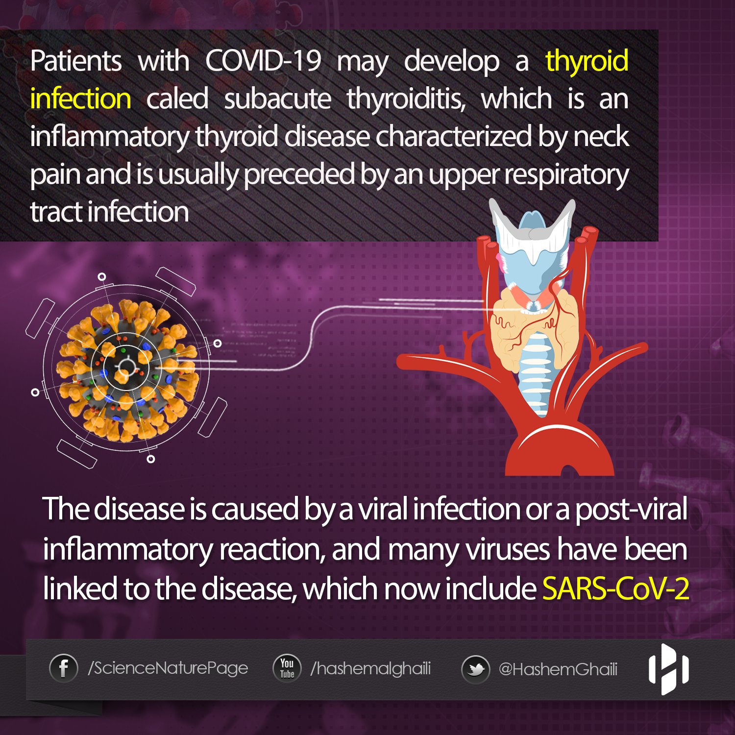 Hashem Al-Ghaili on Twitter: "COVID-19 may lead to thyroid infection. - Research paper: https ...