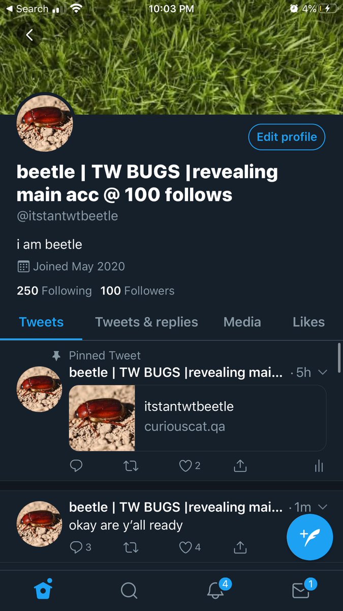 beetle BLM | TW BUGS (@itstantwtbeetle) | Twitter