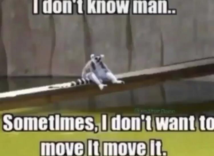 I Dont Know Man Meme