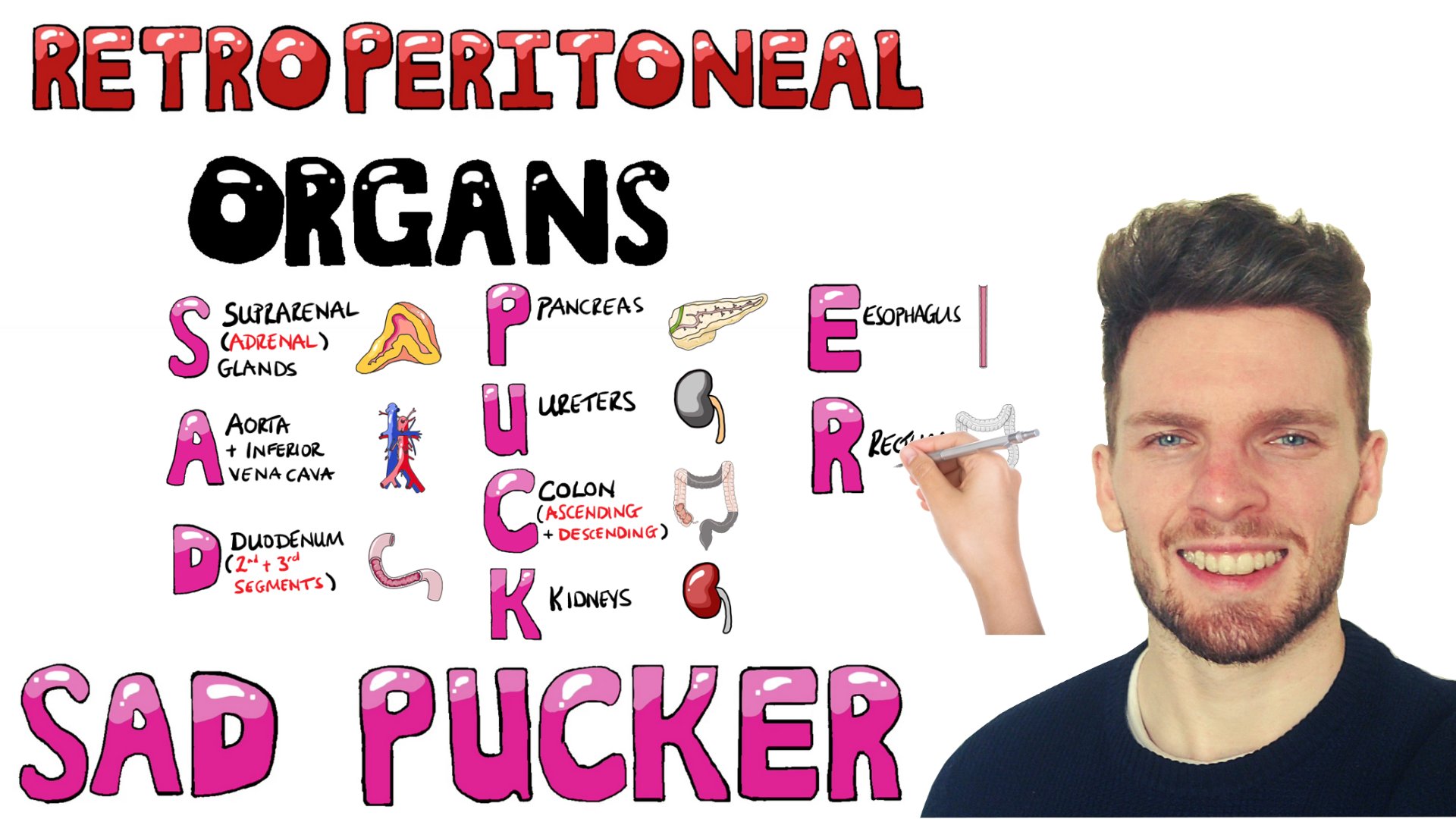 Keith Siau On X: Mnemonic For Retroperitoneal Organs SAD, 53% OFF