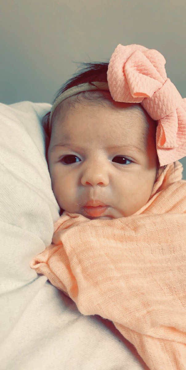 Brooklynn Johnson's Instagram, Twitter & Facebook on IDCrawl