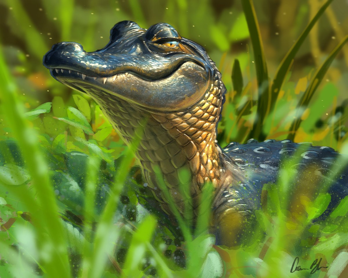 Twoucan - Aaron Blaise (@AaronBlaiseArt)