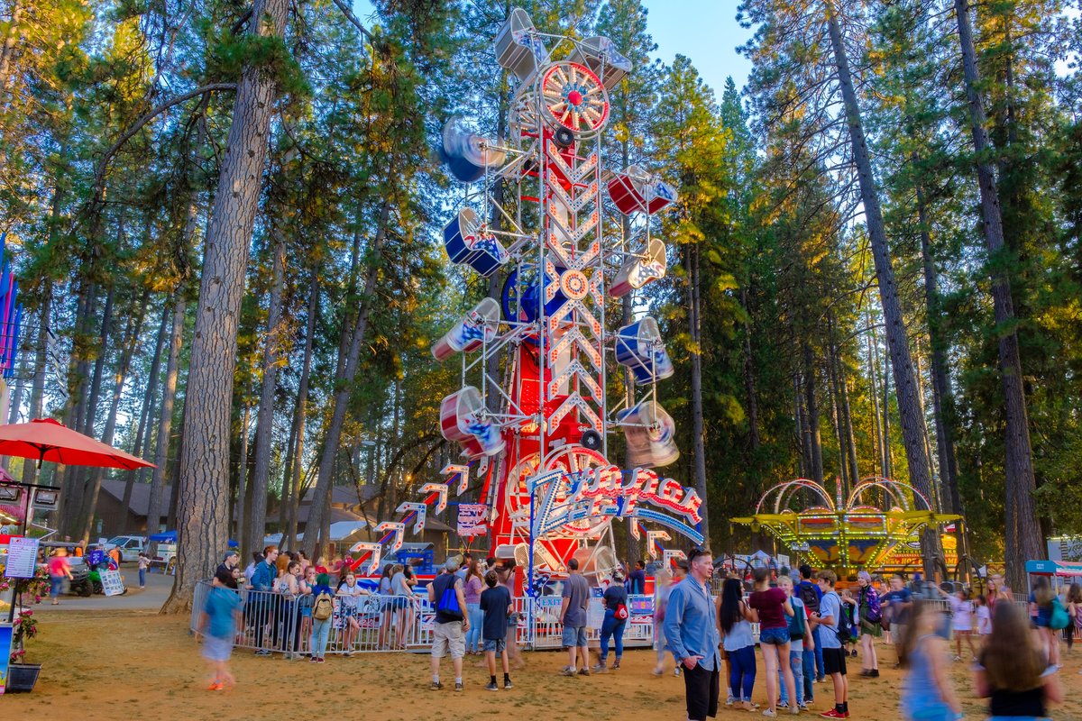 Flickr @Flickr Timeline, The Visualized Twitter (Analytics)