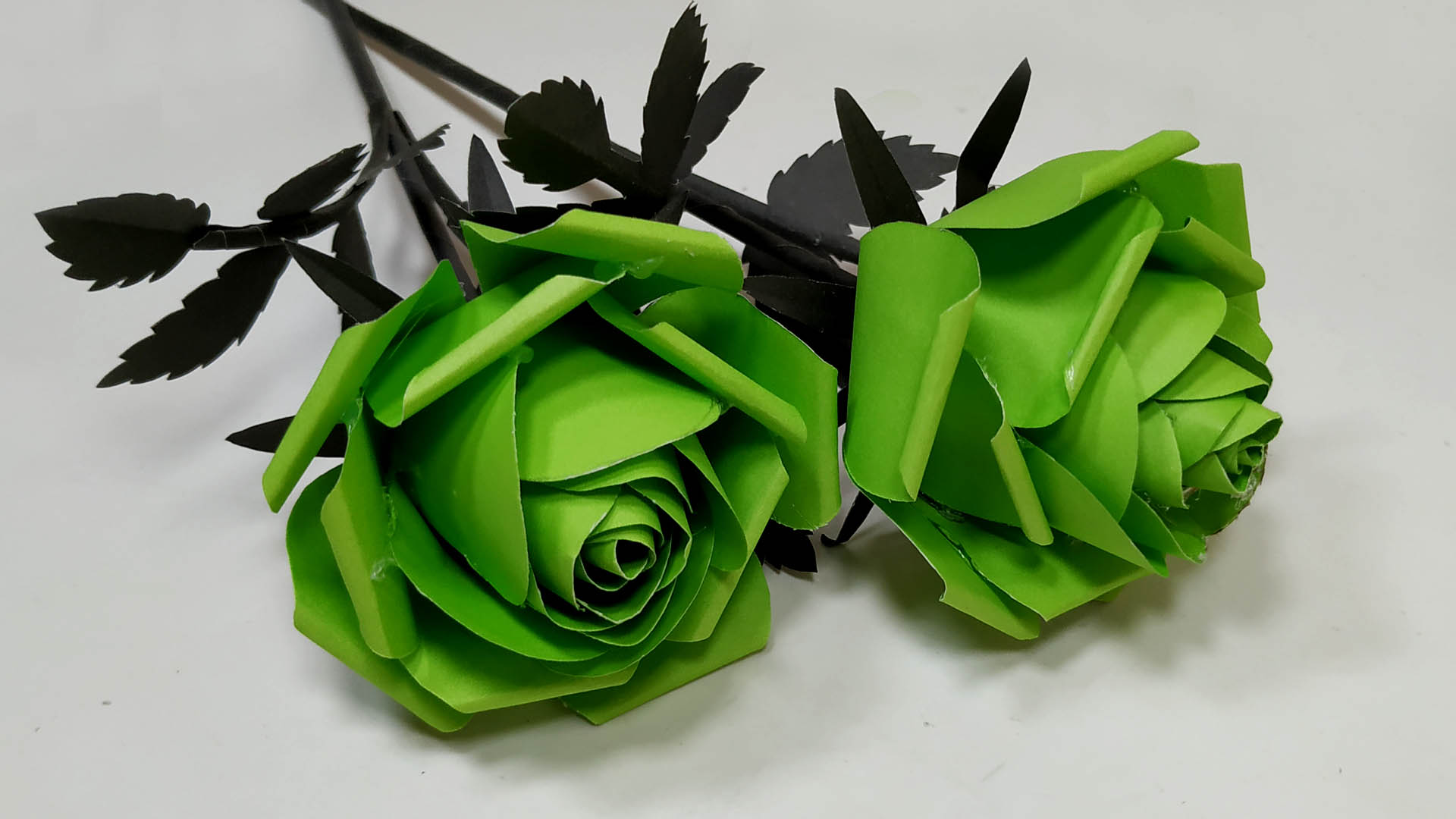 Beautiful Green Roses