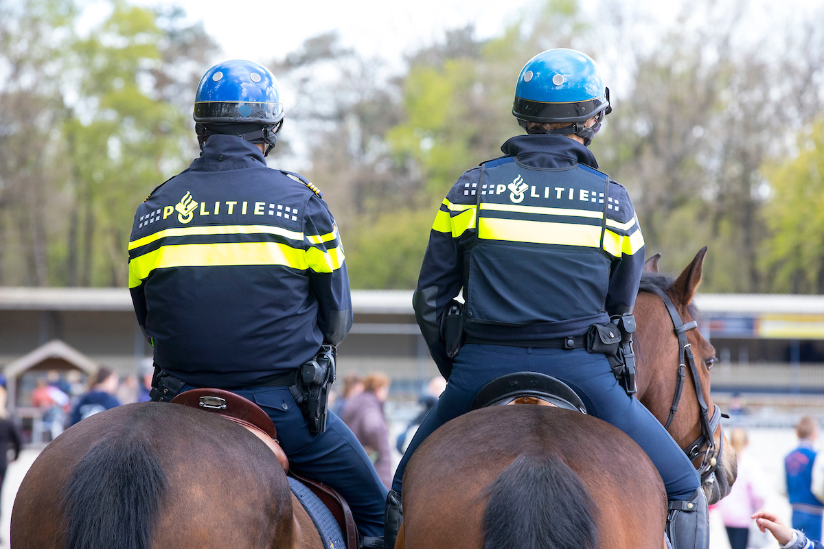 Politie te paard doet een dansje *video*: Afgelopen week vond er in het ... Politie te paard doet een dansje *video*: Afgelopen week vond er in het ...