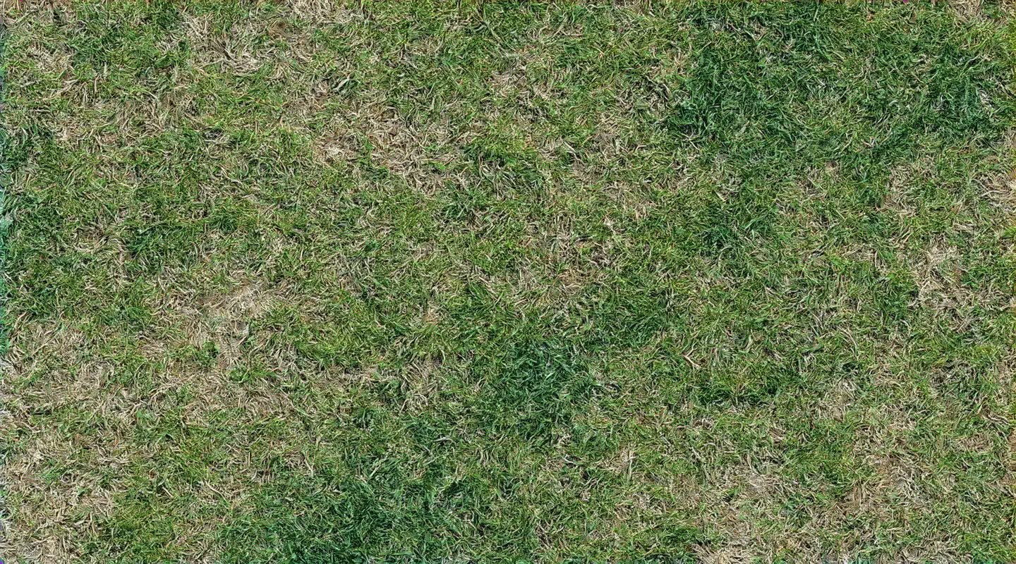 Alex J. Champandard on Twitter: "I'm working on an open-source implementation of deep texture ...