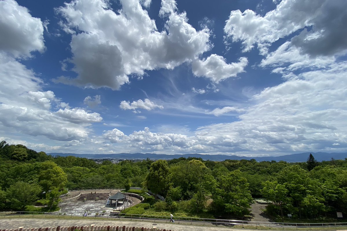 ライデル(@berry_rydell) - Twilog (ツイログ)