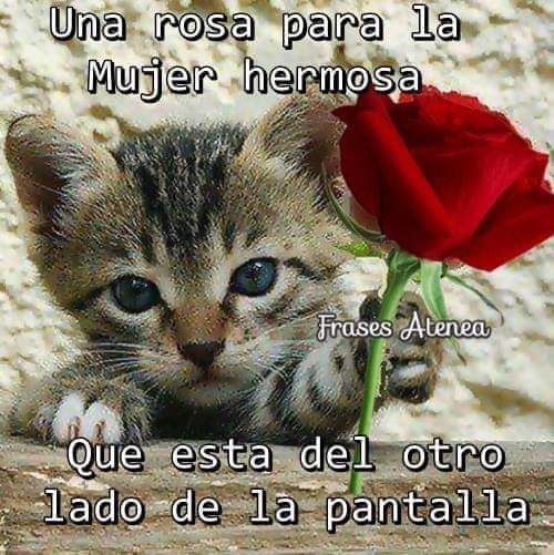 Hola Hermosa Como Estas