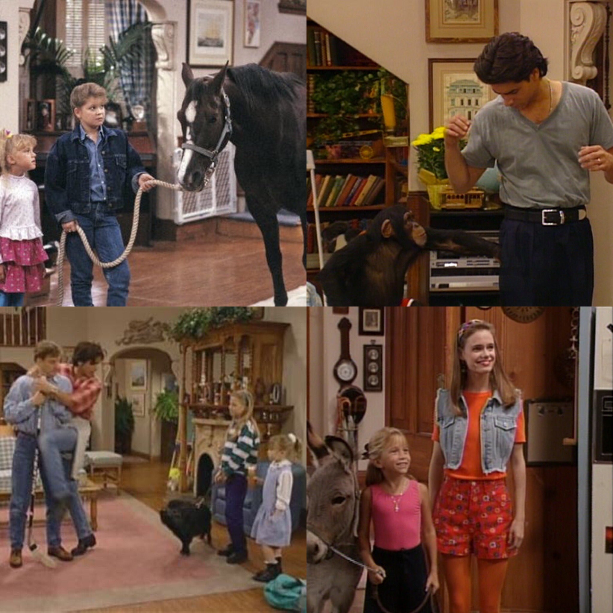 Full House Season 8 Dj