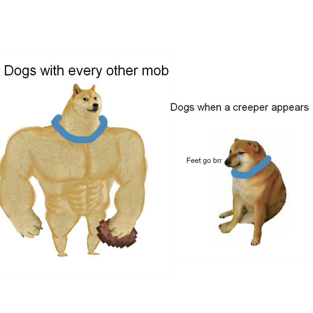 Creeper Canine Meme