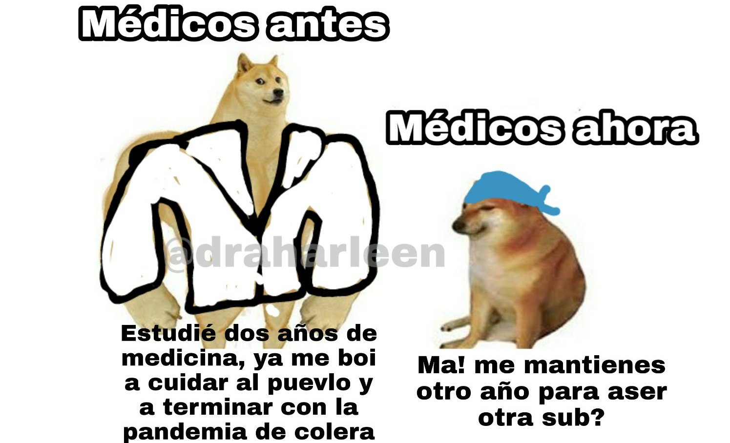 Perro Para Hacer Memes