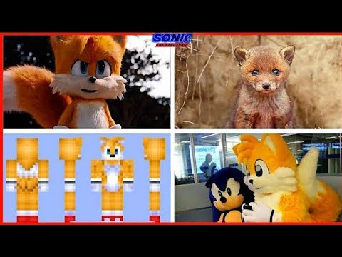 Real Life Tails The Fox