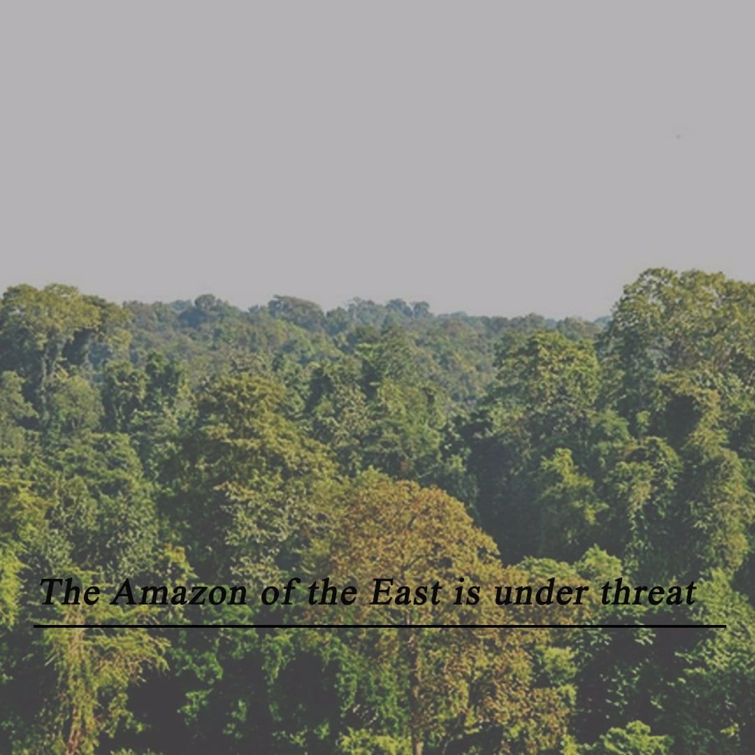 Iran Deka (@IranDeka1) | Twitter