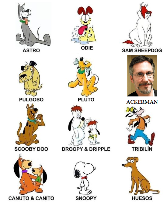 Que Tipo De Perro Es Tonto