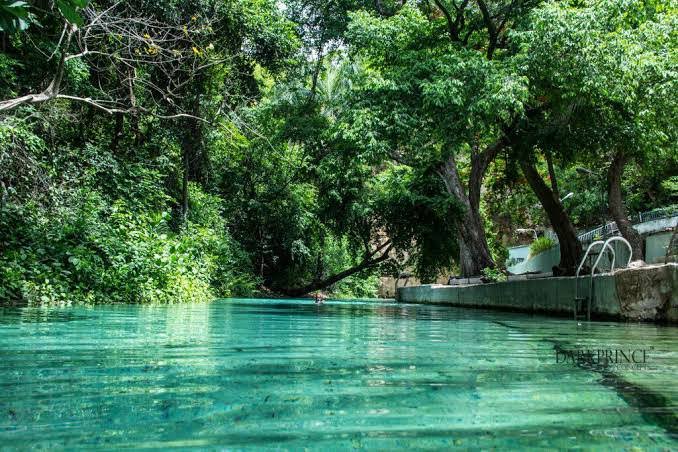 Yankari National Park