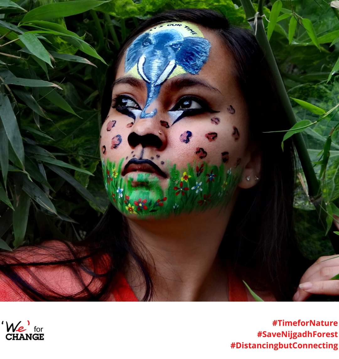 Face Painting Themes Environment